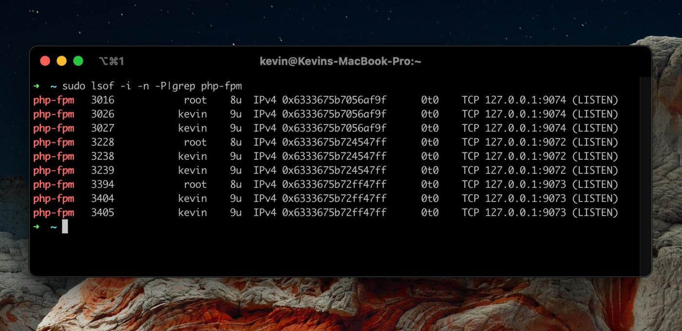 macOS 11 Big Sur Nginx Setup: Multiple PHP Versions
