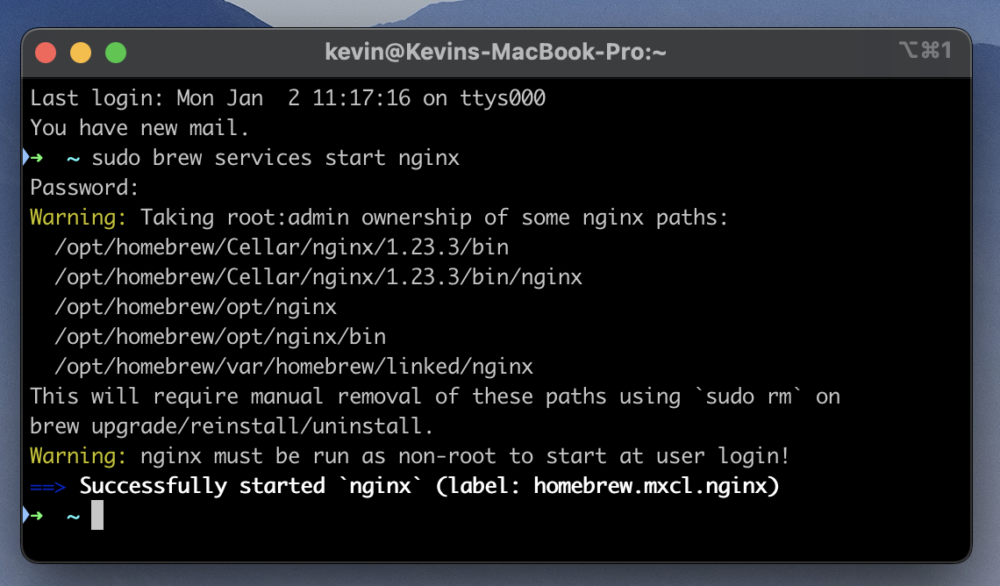 Start Homebrew Installed Version of NGINX When macOS Boots